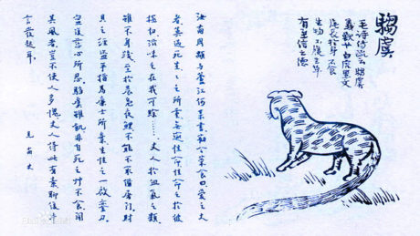 The book of odes and hymns – zouyu – Chinlingo